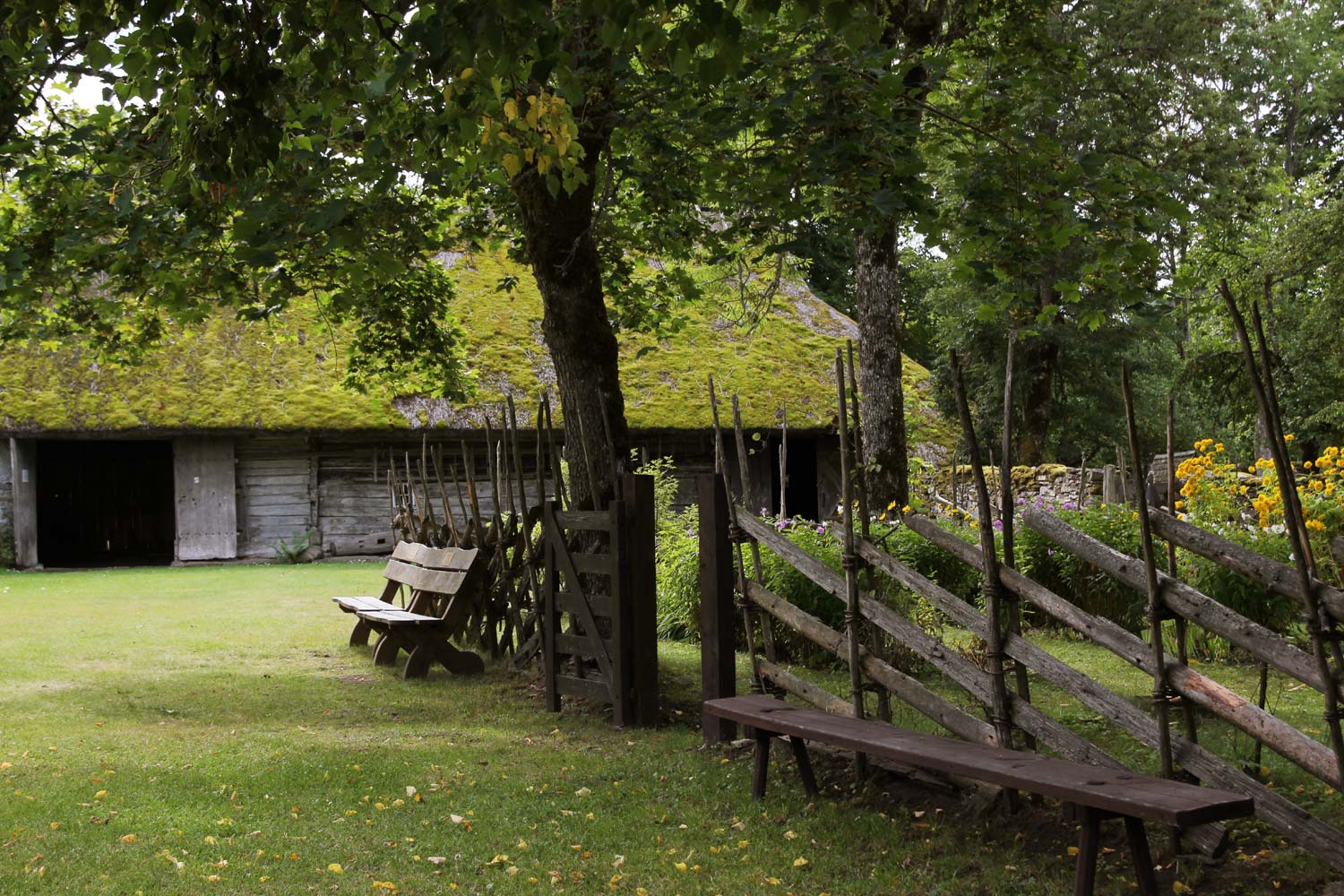 Teemapäev- Kihelkonna murrak - Saaremaa Muuseum